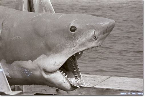 Les échos d’Altaïr » MONSTRES SACRES : BRUCE, LE GRAND REQUIN BLANC