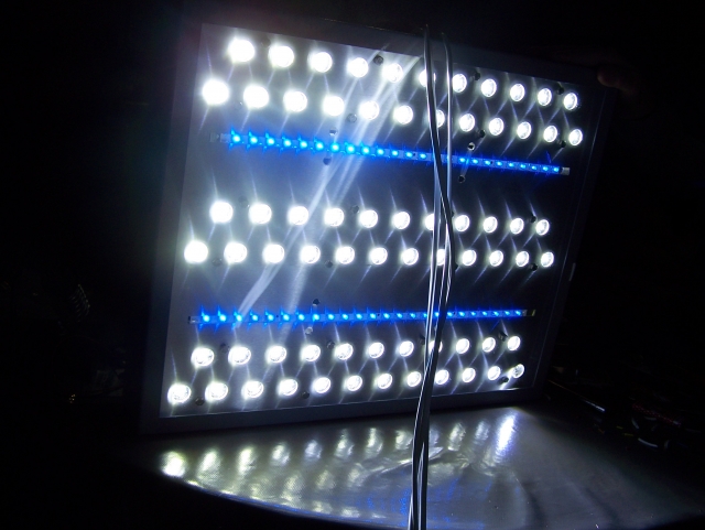 eclairage led recifal