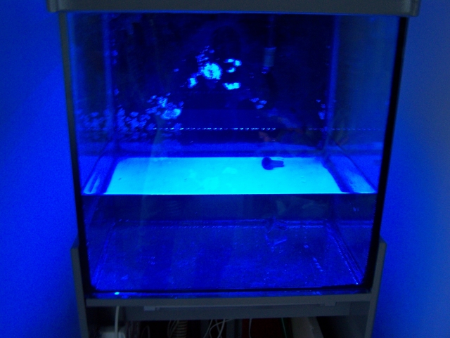 eclairage led recifal