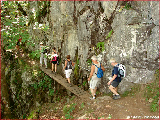 le sentier des roches vosges