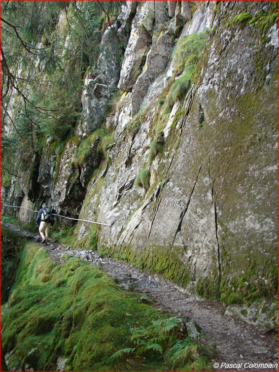 le sentier des roches vosges