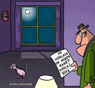 Humour en image sur le minou de la part de Josiane