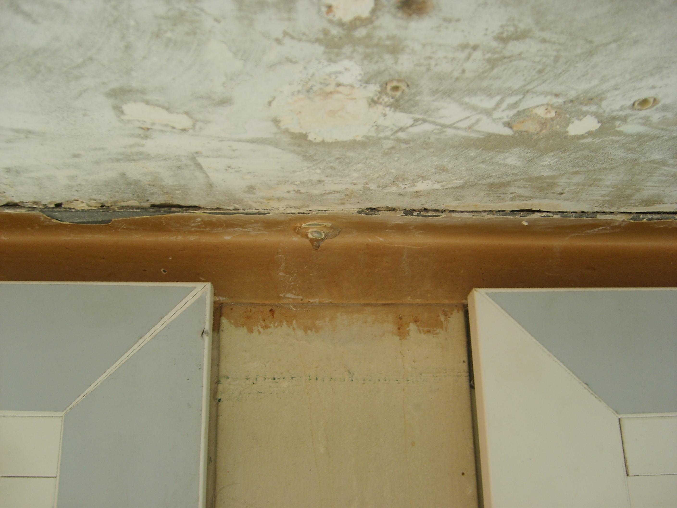 rail, montant, fourrure pour BA13
