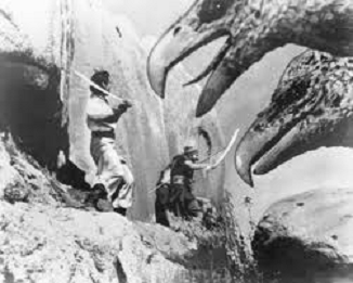 Le Rokh Animal Online | emergencydentistry.com