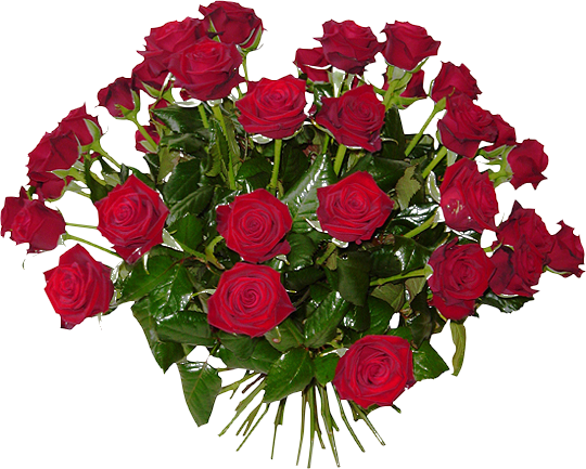 Photo bouquet-roses-rouges de l'album Tubes