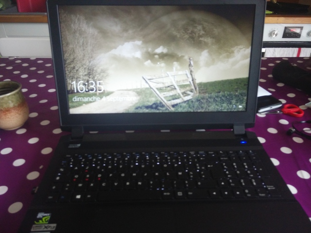 CLEVO P650SE (970m) [Vendu] - PC Portables - Achats & Ventes - FORUM ...